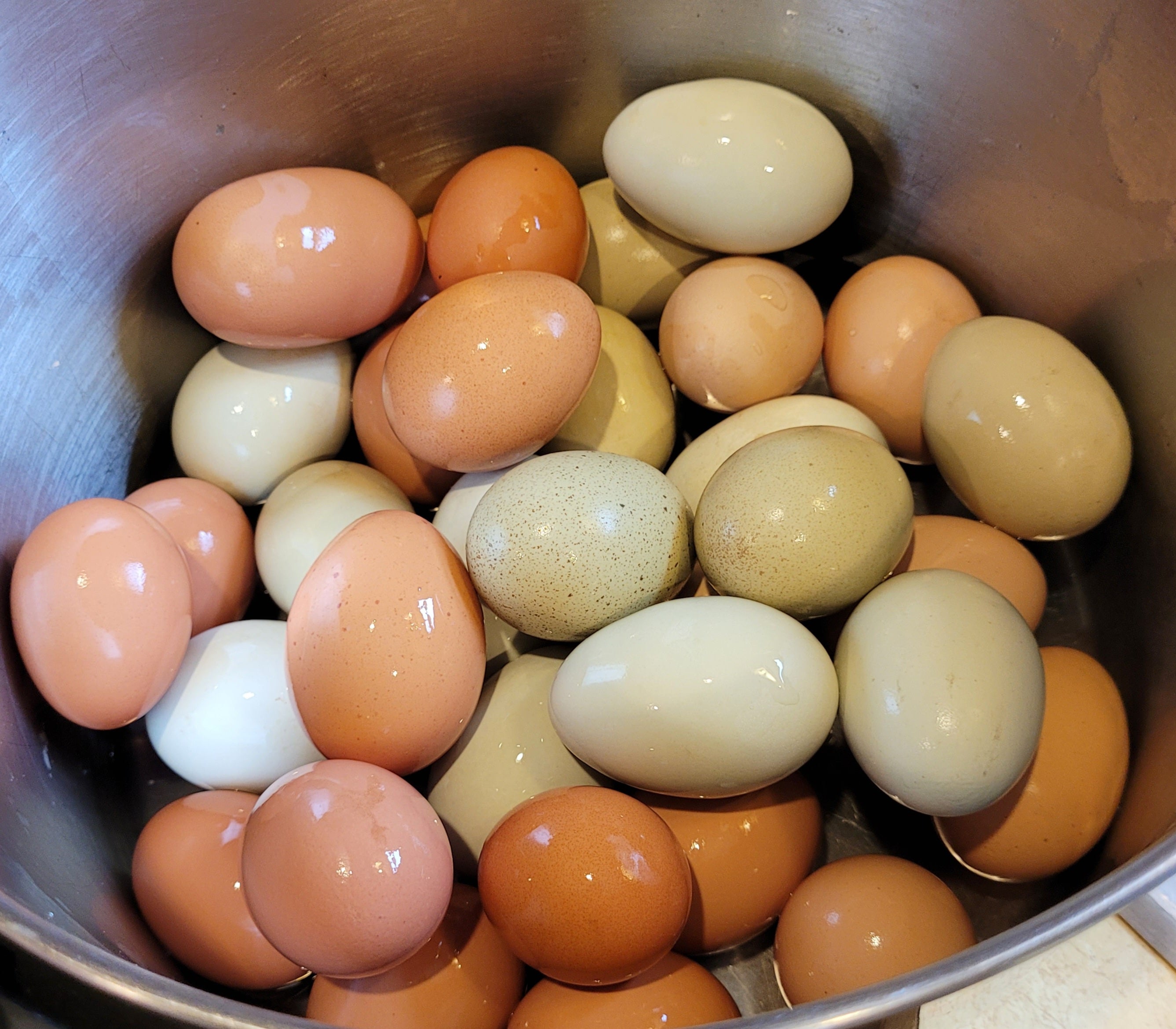 Organic Eggs - PICKUP ONLY – Matter's Farm to Table