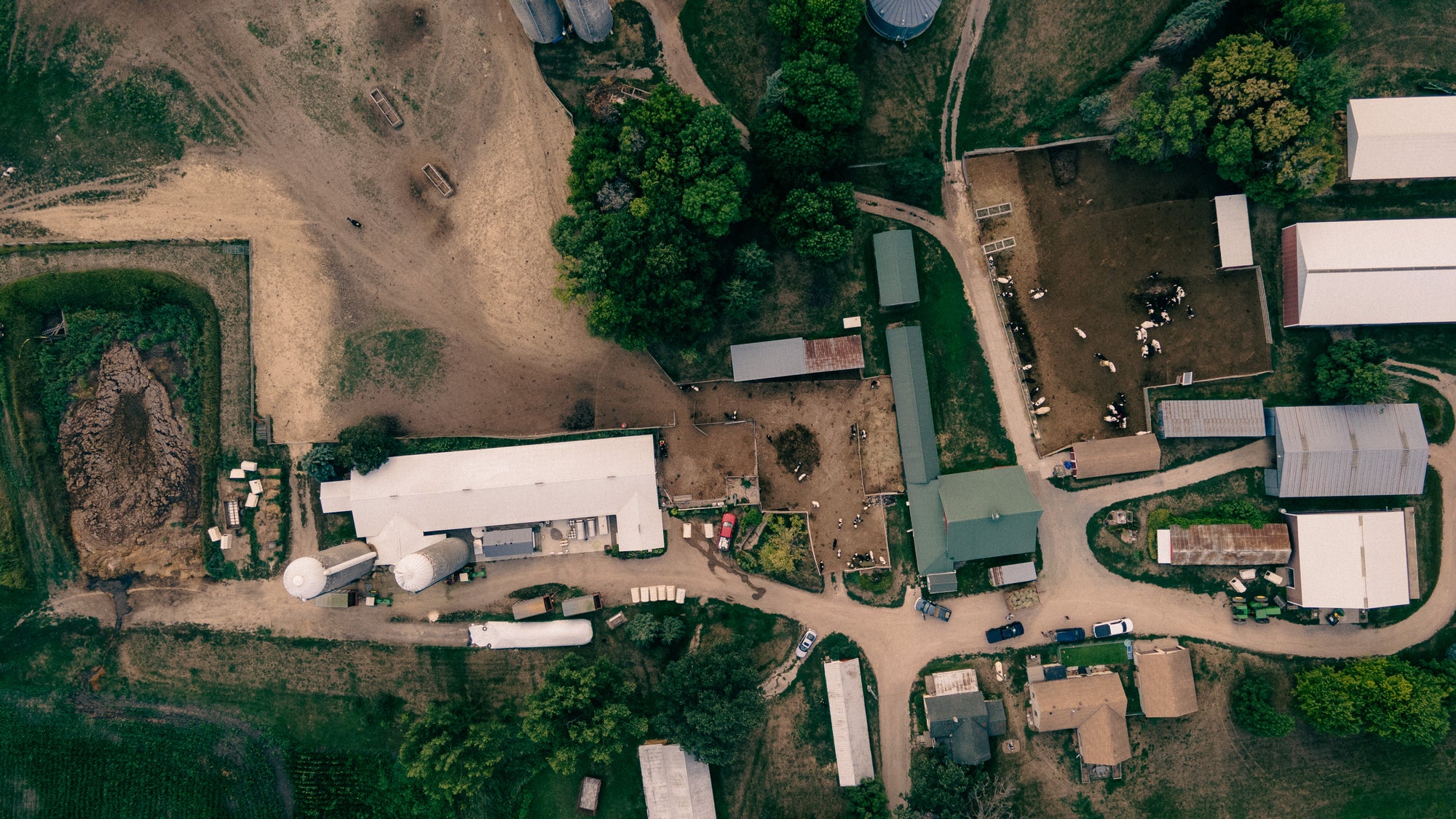 Trading Post – Matter's Farm to Table