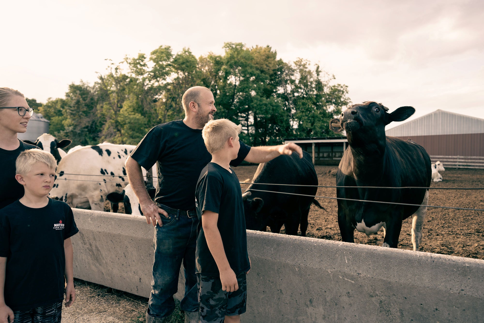Farm-Raised Beef – Matter's Farm to Table